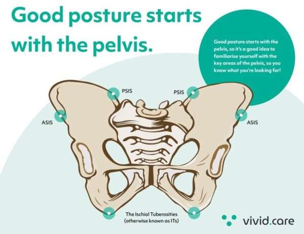 A Guide to Posture Management & Best Sitting Positions